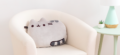 Pusheen : About