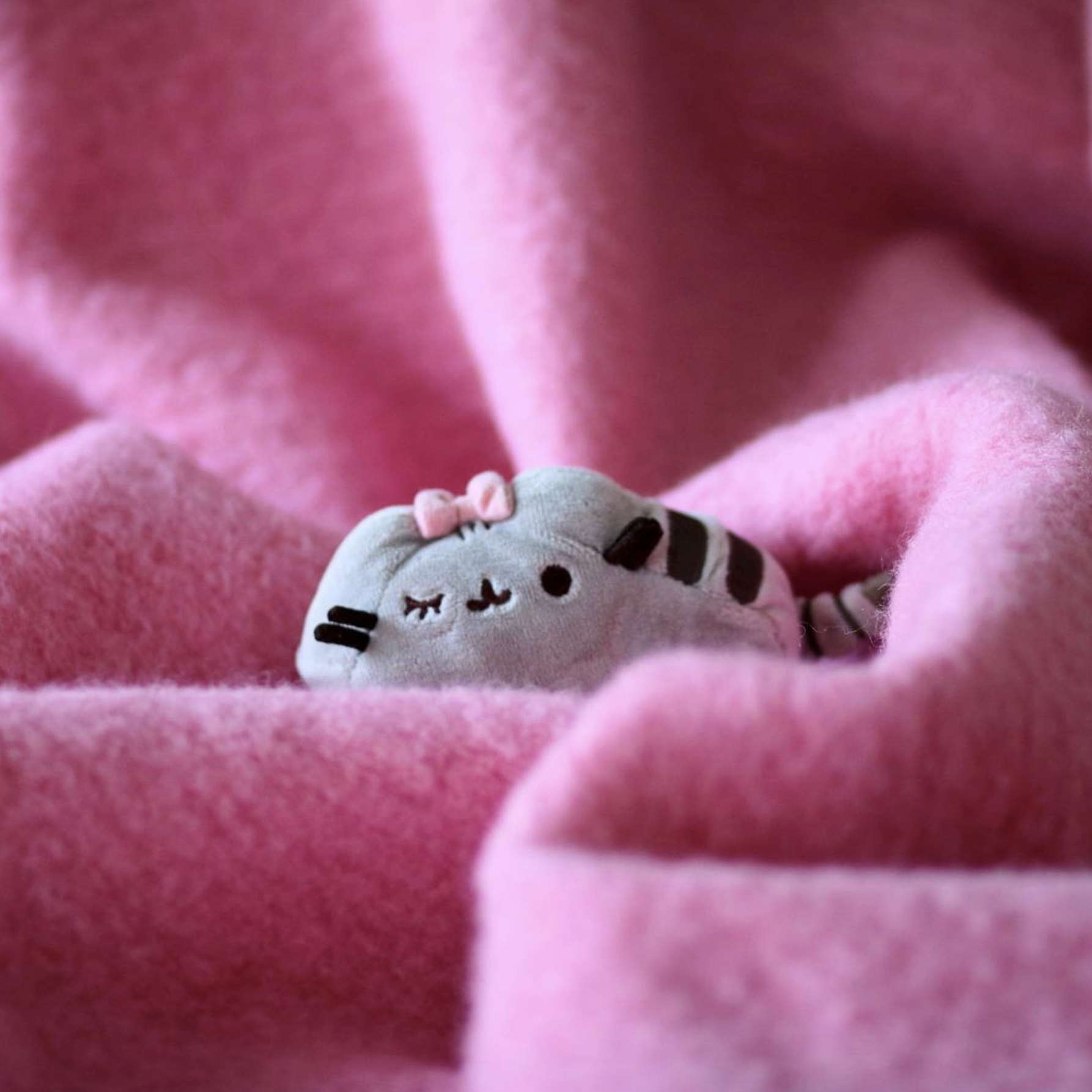 Pusheen : Fan Showcase: Check Out Some Picture Perfect Adventures with ...