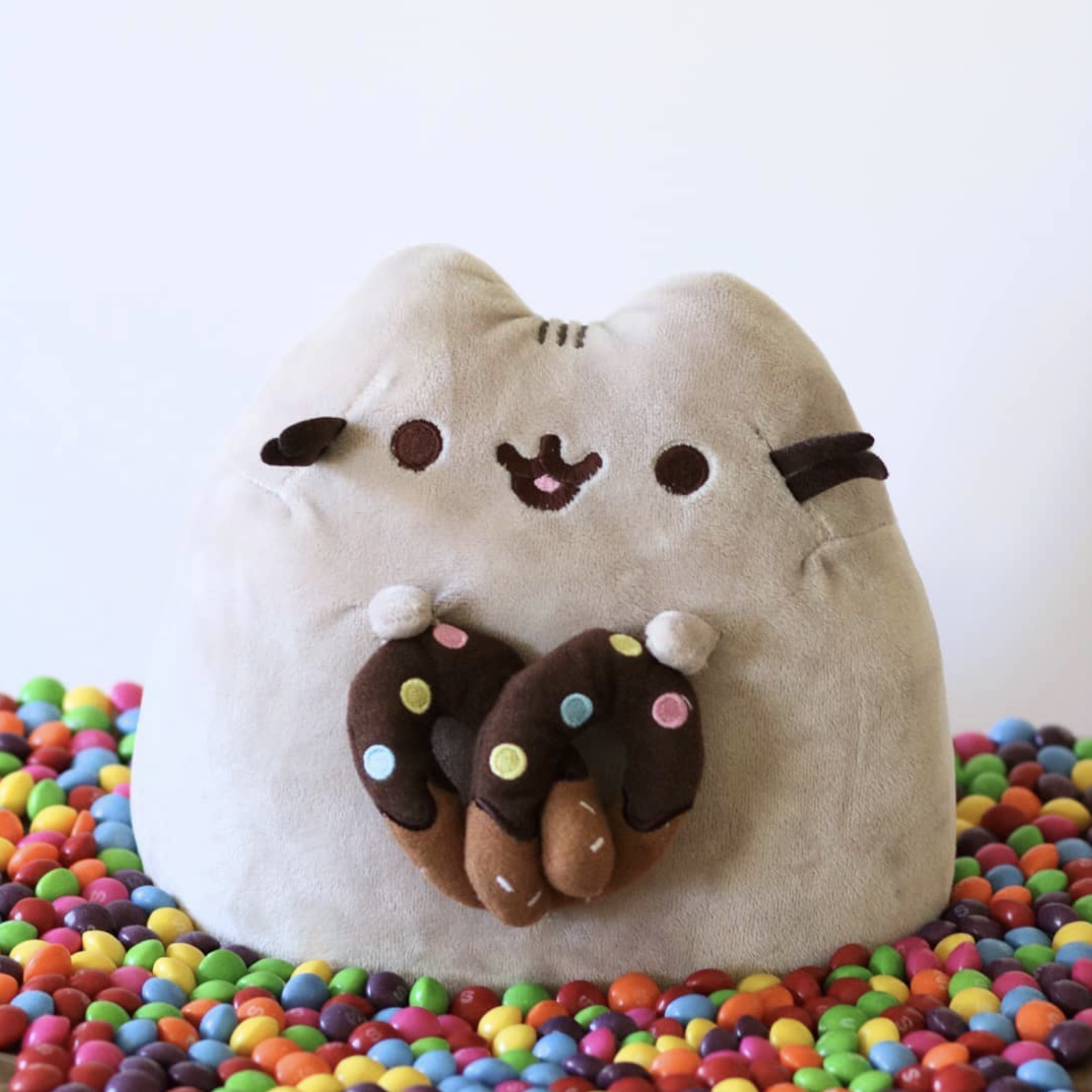 Pusheen : Fan Showcase: Check Out Some Picture Perfect Adventures with ...