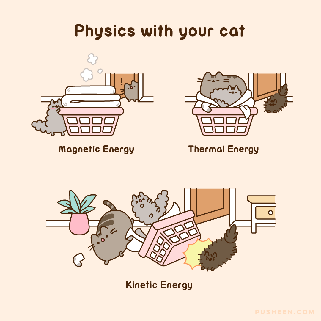 Pusheen : Physics with Your Cat - Pusheen