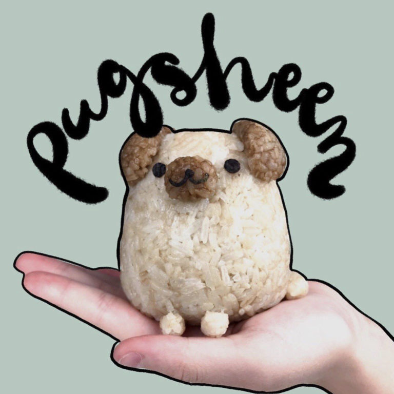 Pusheen : Fan Friday: This Adorable Handcrafted Pugsheen Art is Created ...