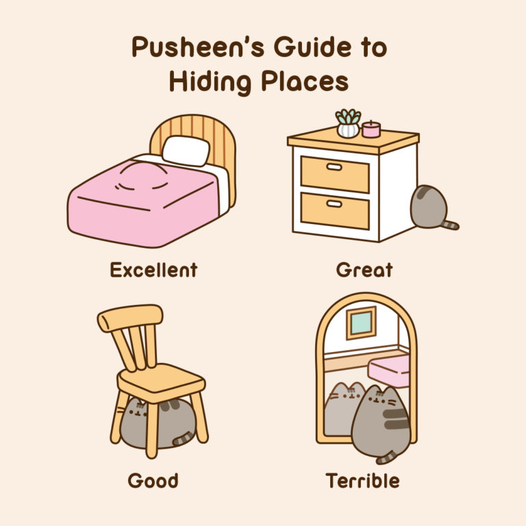 Pusheen : Pusheen the Cat’s Guide to Everything
