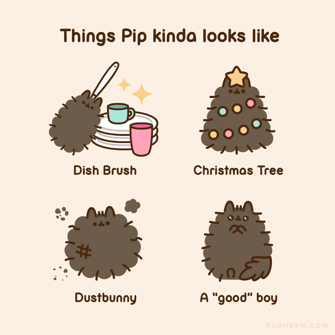 Pusheen Fuzzy Pusheen Fuzzy